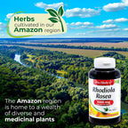 180 capsules of Lab Rhodiola Rosea