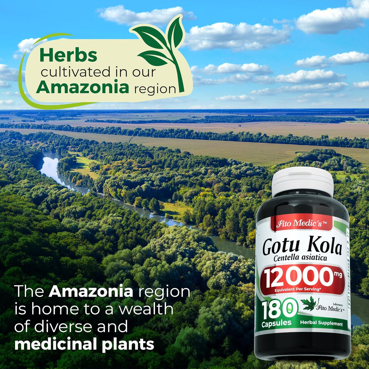 180 capsules of pure Gotu Kola