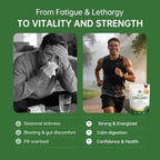 180 capsules oregano oil benefits