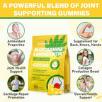 180 count chondroitin gummy supplement