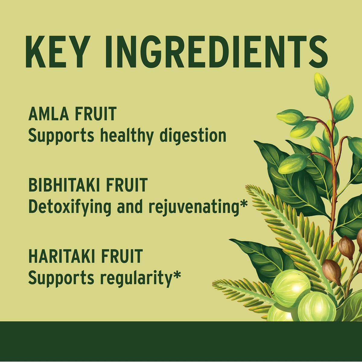 180 count triphala tablets for vitality
