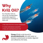 180 softgels of krill oil