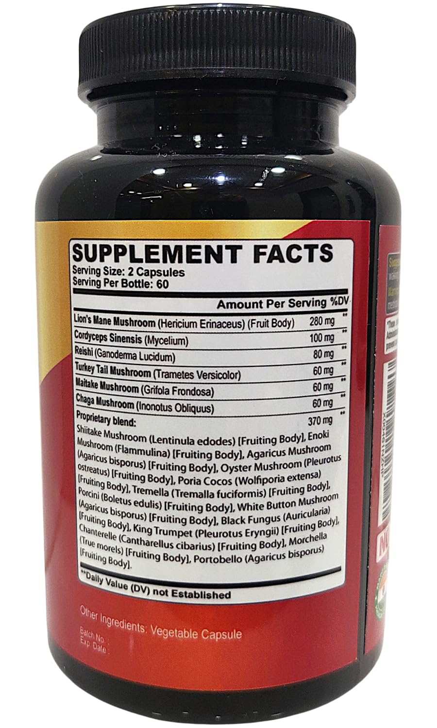 19-in-1 mushroom blend benefits