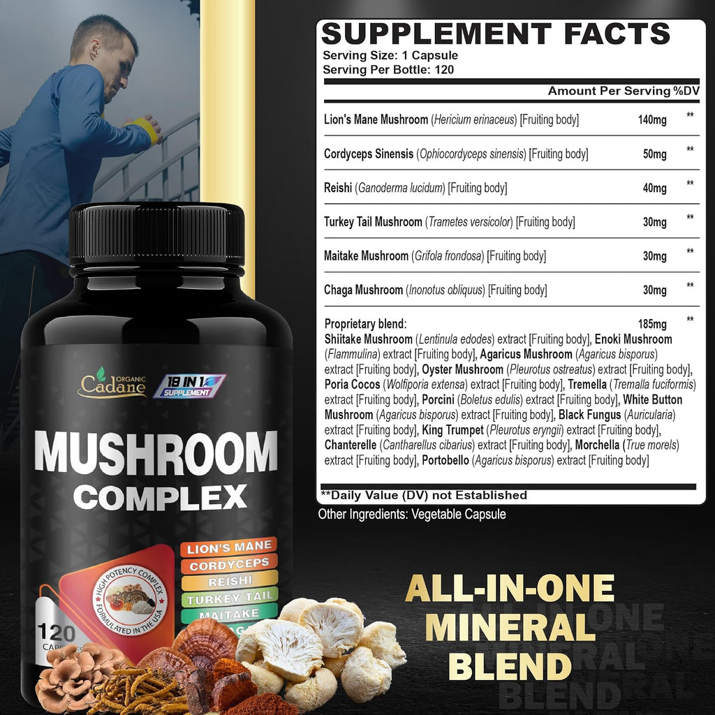19-in-1 mushroom blends for wellness
