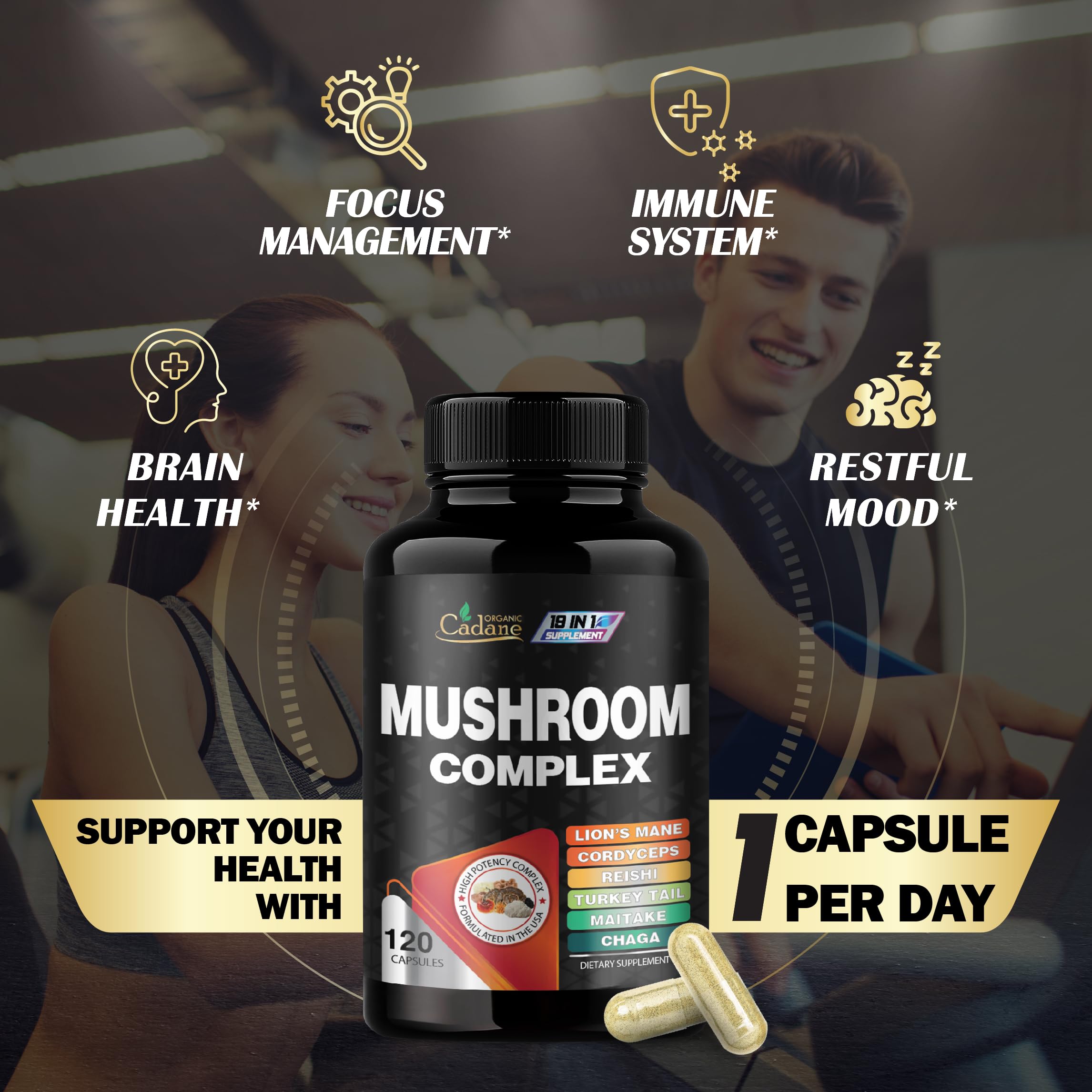 19-in-1 mushrooms for cognitive function