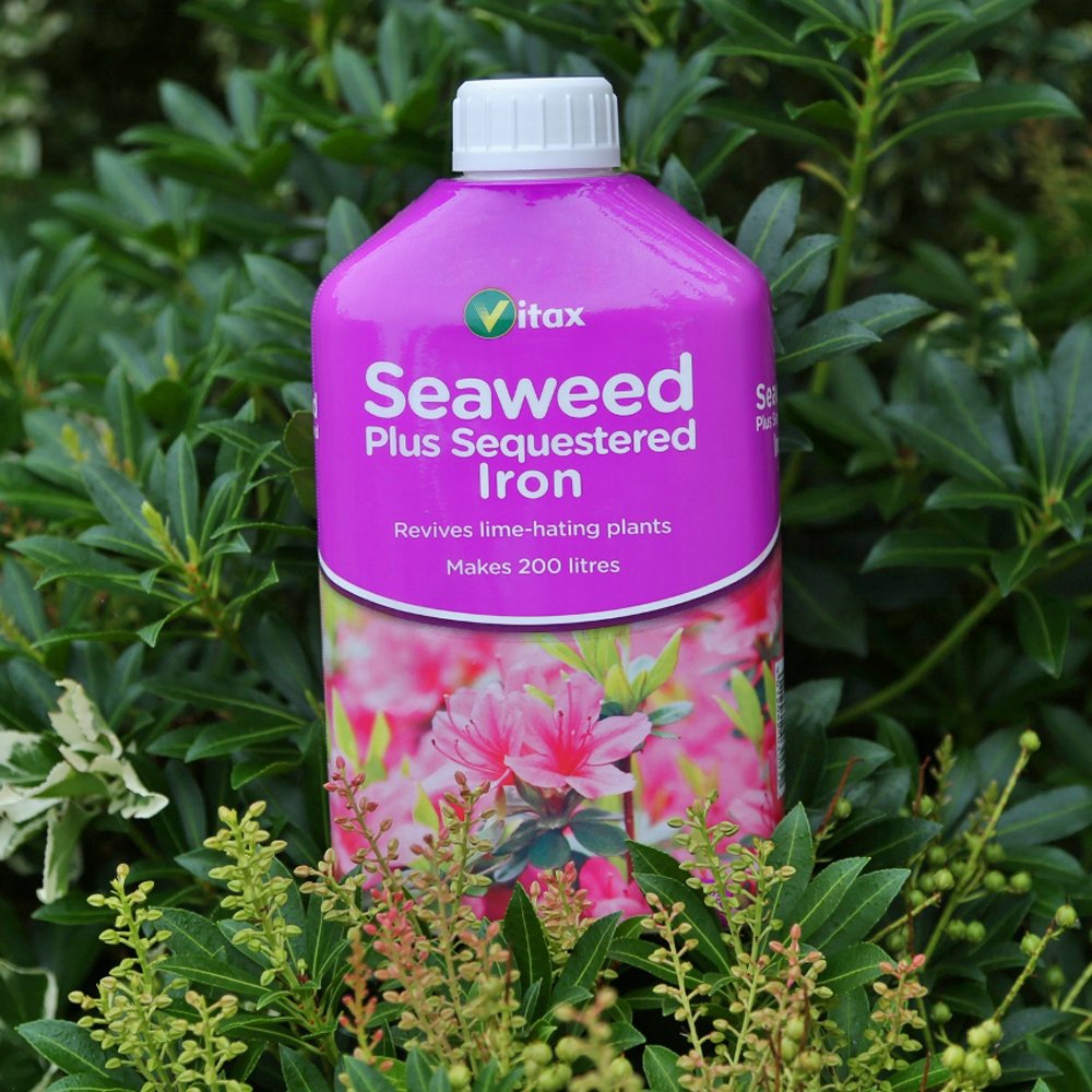 1L Vitax Seaweed Plus benefits