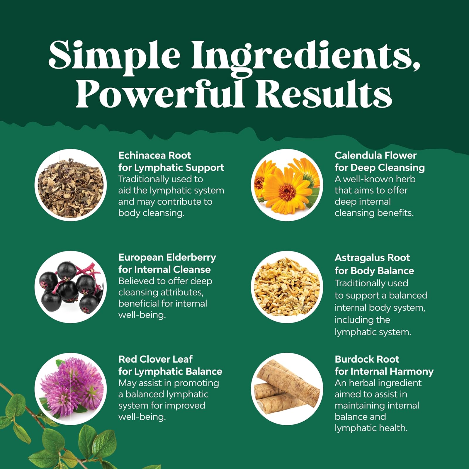 2 fl oz echinacea wellness formula