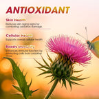 2 Fl Oz Milk Thistle extract
