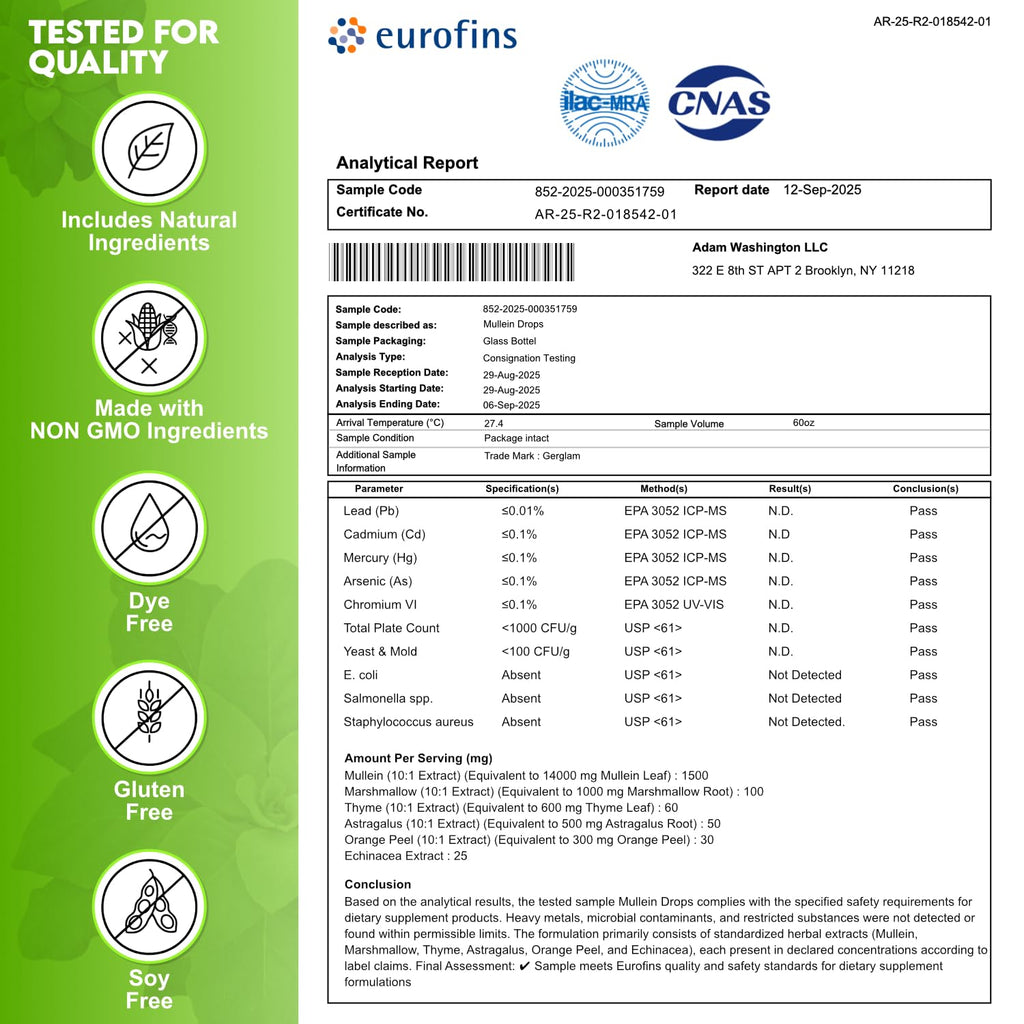 2 fl oz mullein drops for wellness