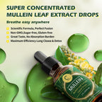 2 FL OZ mullein herbal supplement