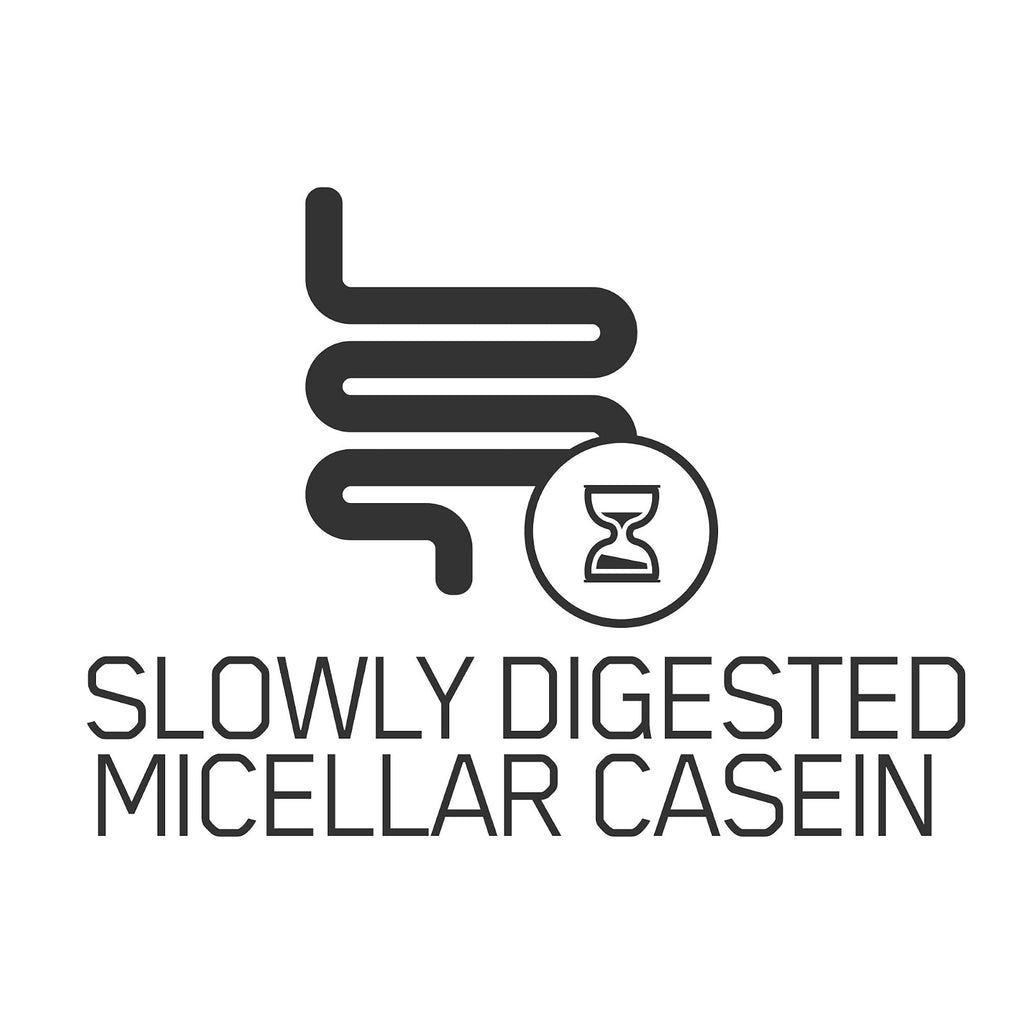 2 lb chocolate casein protein supplement