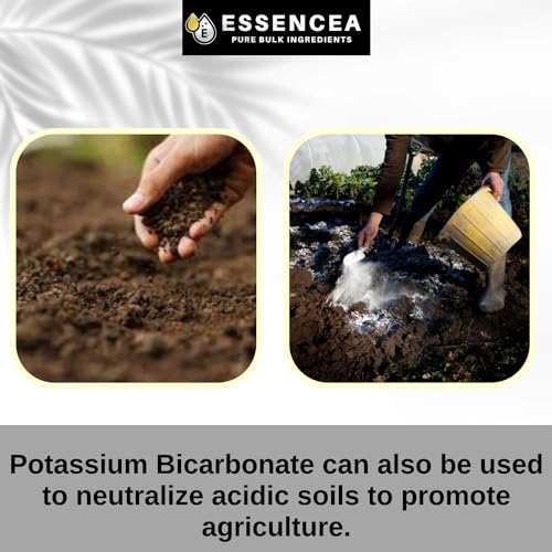2 lb potassium bicarbonate powder
