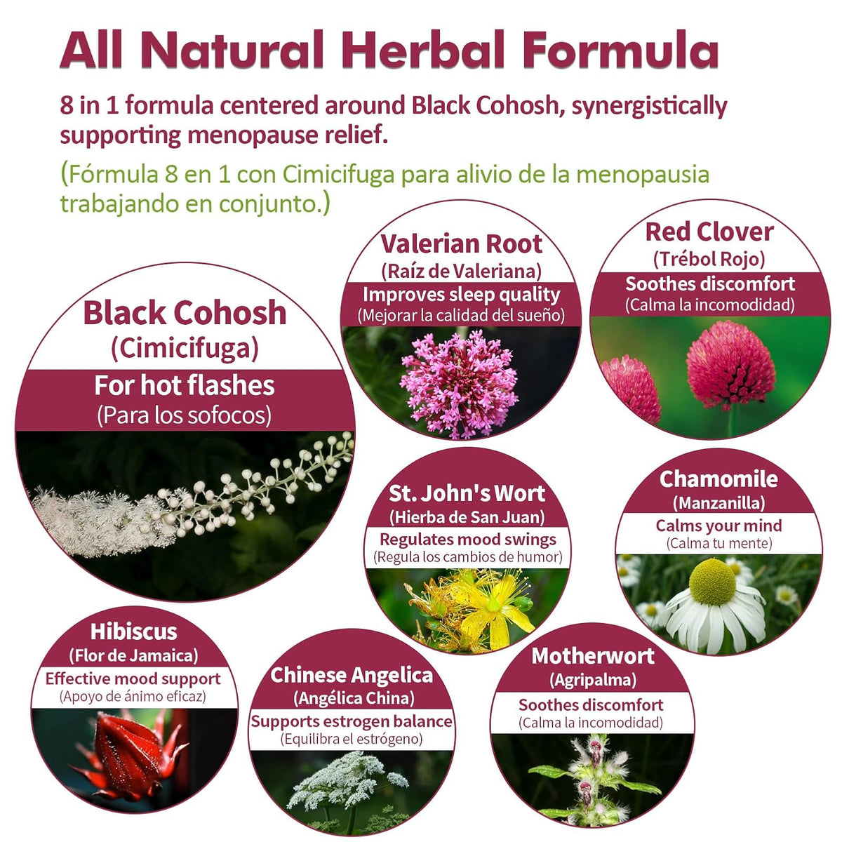 2 oz Black Cohosh extract for women's health