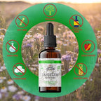 2 oz dandelion root tincture dosage