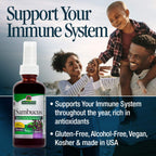 2 oz elderberry spray for wellness