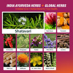 2 oz Shatavari extract for vitality