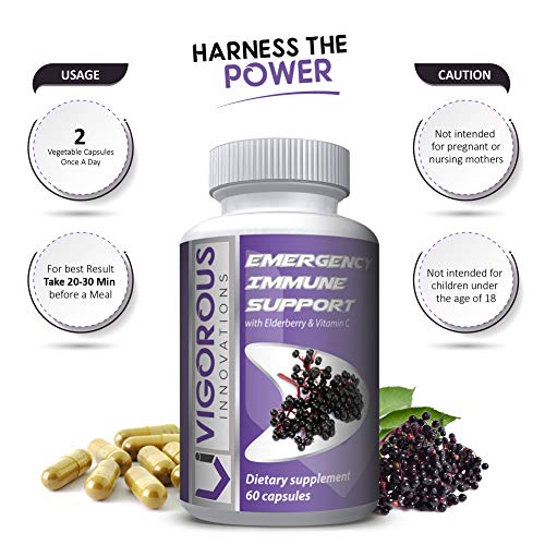 2 pack elderberry for family wellness