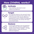 20,000 lipase units for effective digestion