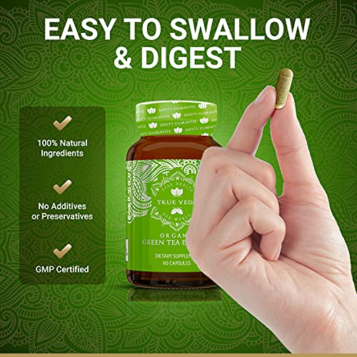 20:1 green tea extract potency