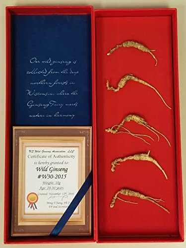 20-30 year old ginseng quality