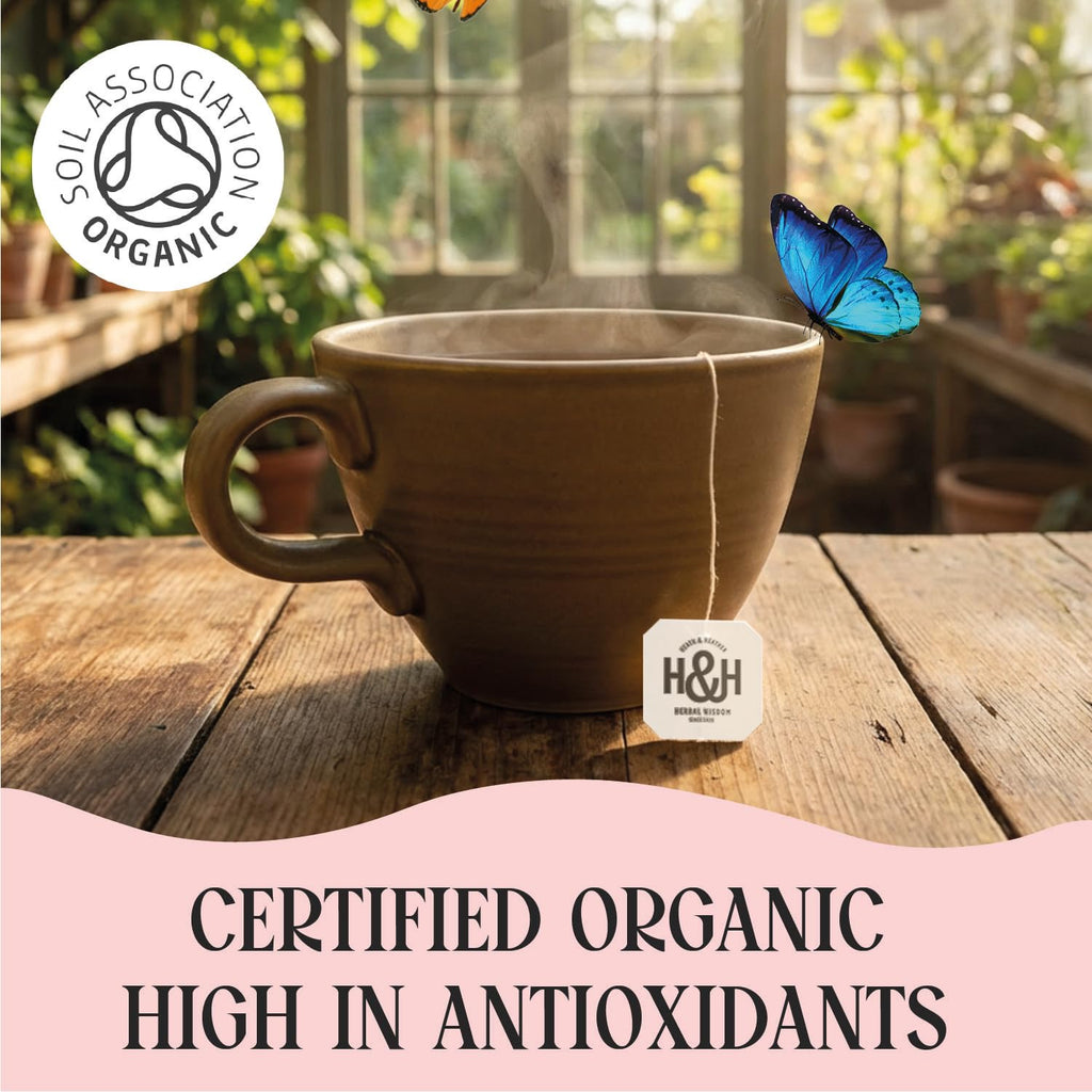 20 bags of echinacea goodness