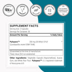 20 billion CFU Lactobacillus Reuteri