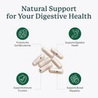 20 billion CFU probiotic capsules