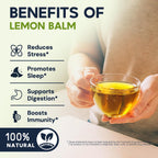 20 count lemon balm tea bags