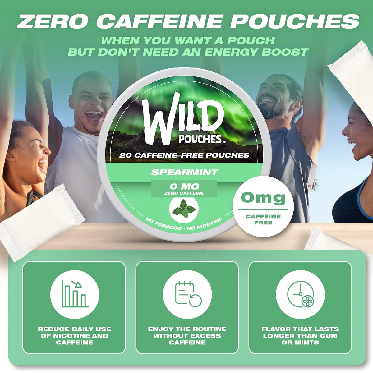 20 count spearmint pouches