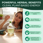 20 count yerba mate bags