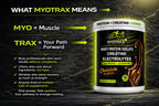 20 g protein per serving for strength