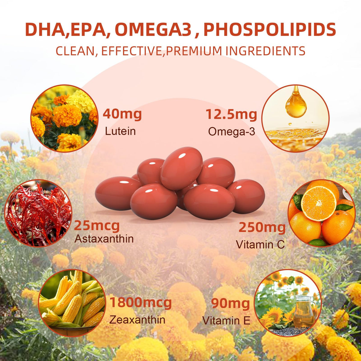 20 mg Lutein & Zeaxanthin for daily wellness