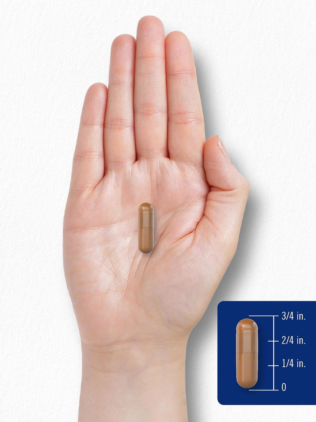 20 mg PQQ for daily wellness