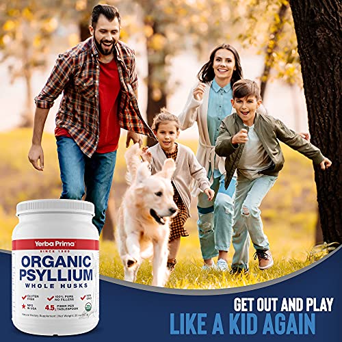 20 oz psyllium for daily use