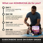 20 servings of kombucha powder
