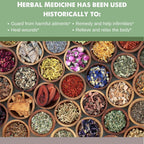 20 tea bags of echinacea goodness