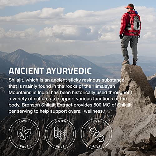 20% total acids shilajit extract