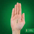 200 capsules ginkgo biloba value