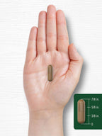 200 capsules of Guarana for daily energy
