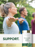 200 capsules of Mullein extract
