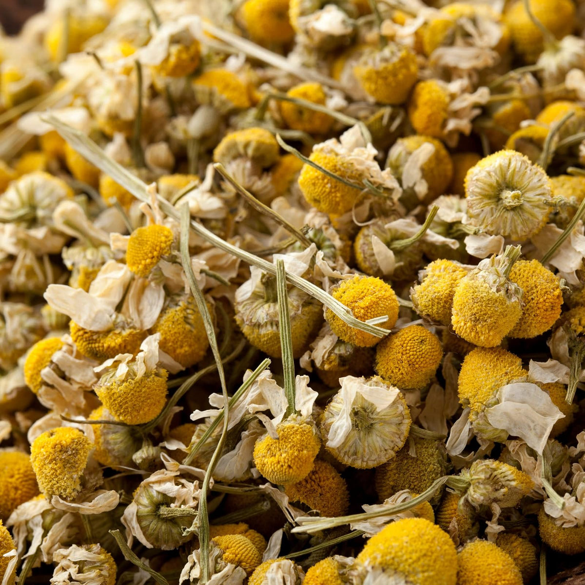 200 cups of chamomile goodness