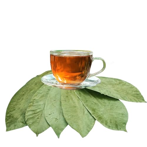 200 dried soursop leaves for brewing