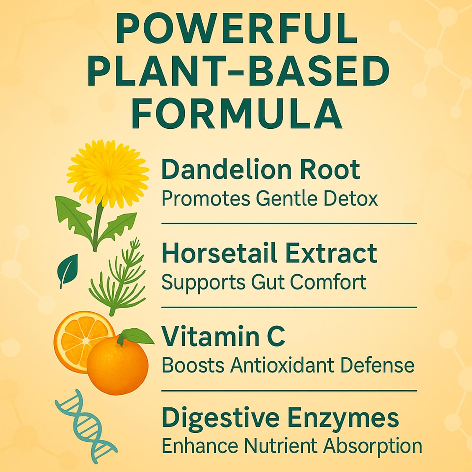 200 g digestive support powder