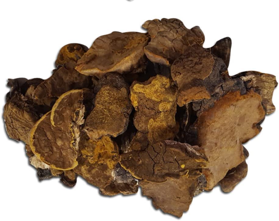 200 g Phellinus Linteus for wellness