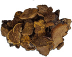 200 g Phellinus Linteus for wellness