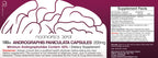200 mg Andrographis for wellness