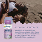200 mg Astragalus herbal supplement