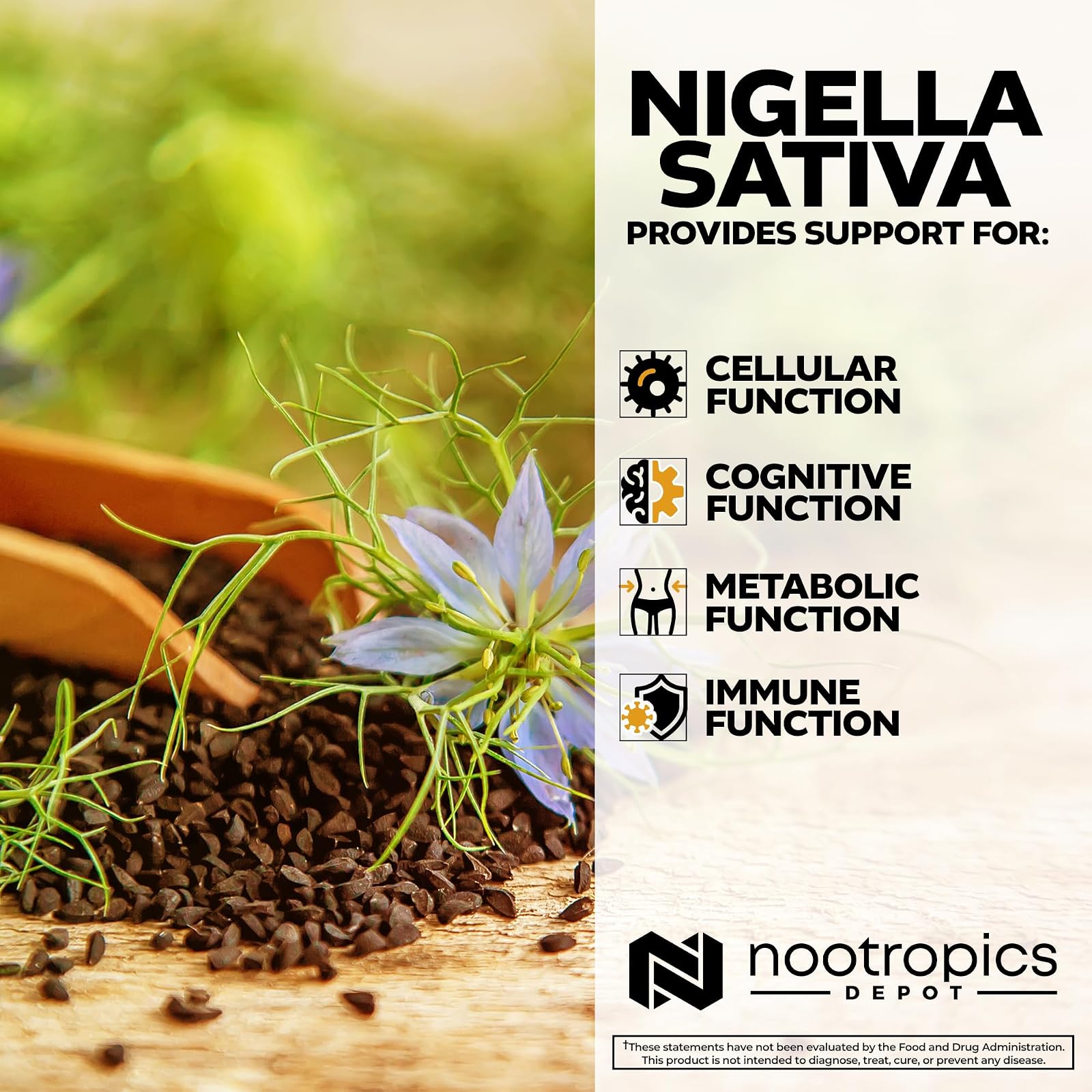 200 mg black seed oil extract