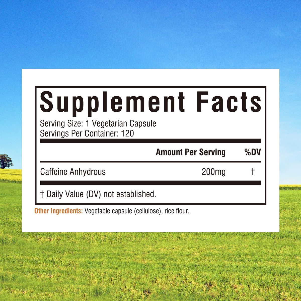 200 mg caffeine vegan capsules