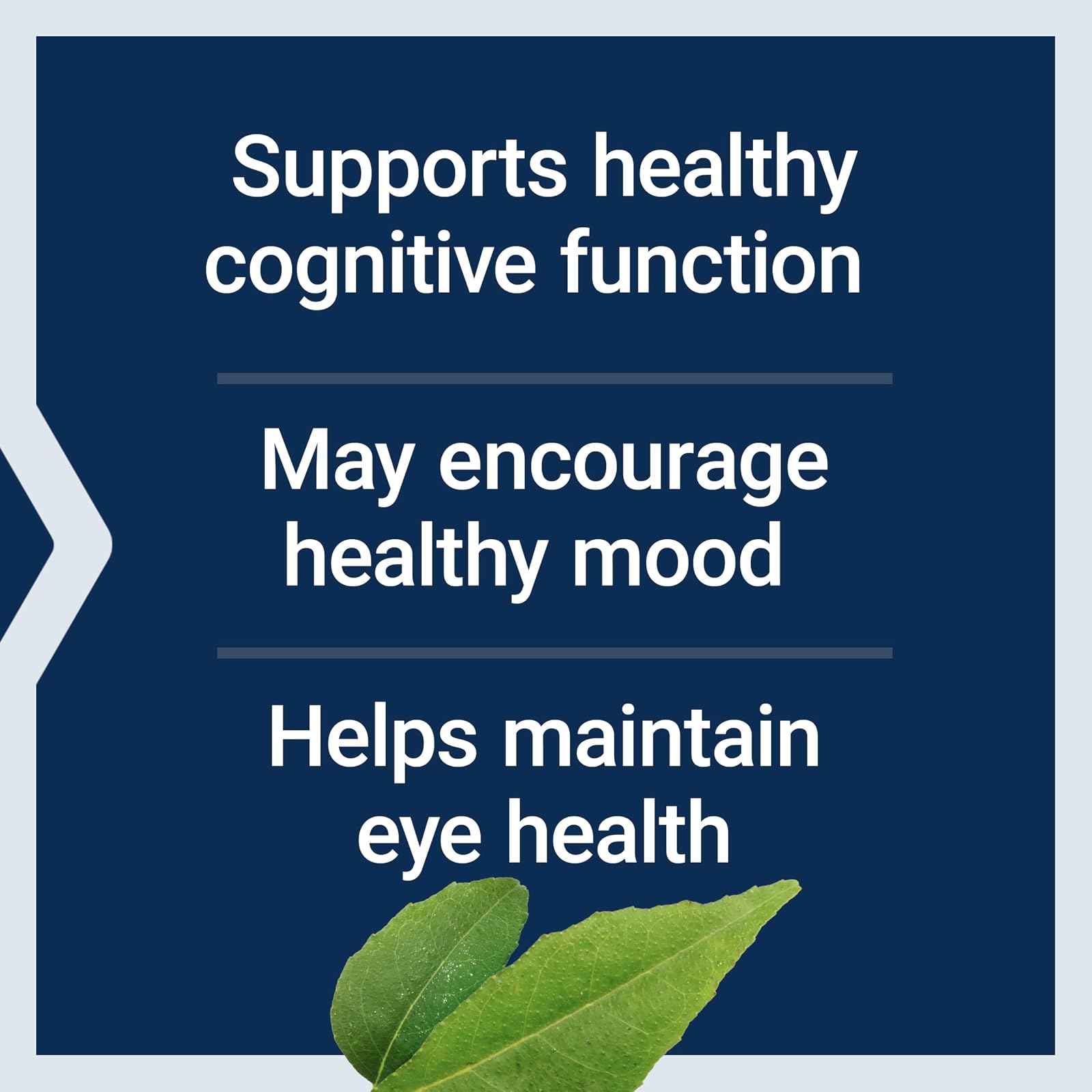 200 mg DHA for brain support